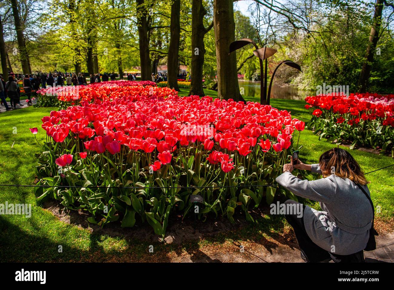 Lisse, Netherlands. 24th Apr, 2022. A woman seen taking a photo with ...