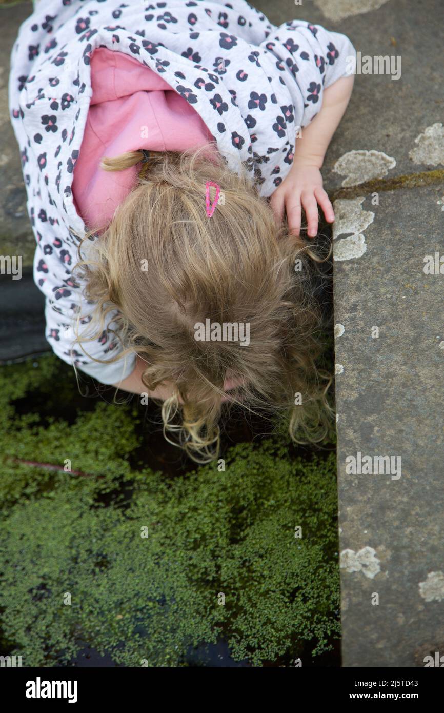 Children with frogs hi-res stock photography and images - Alamy