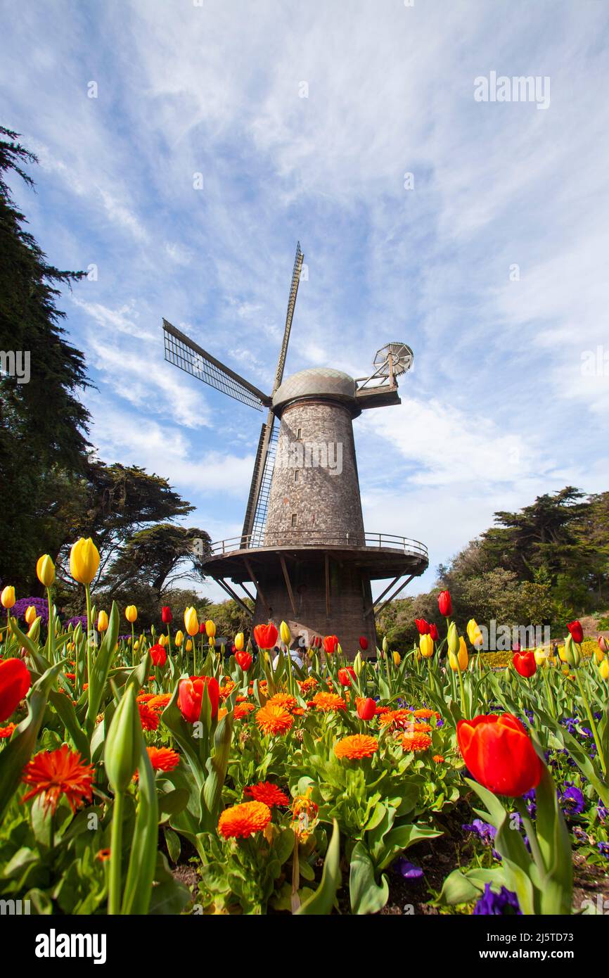Windmill in Golden Gate Park, San francisco Stock Photo - Alamy