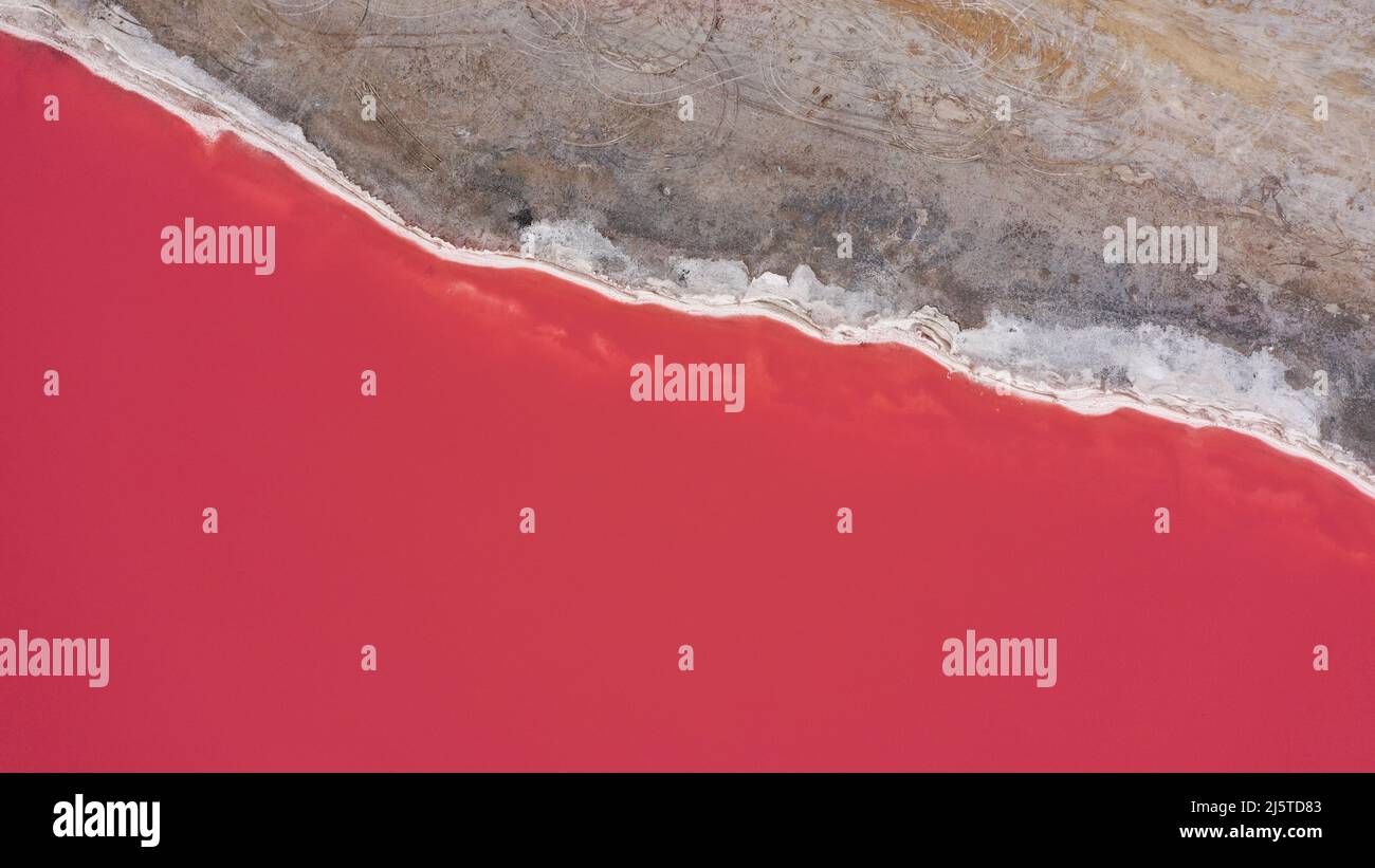 Red dunaliella salina algae hi-res stock photography and images - Alamy