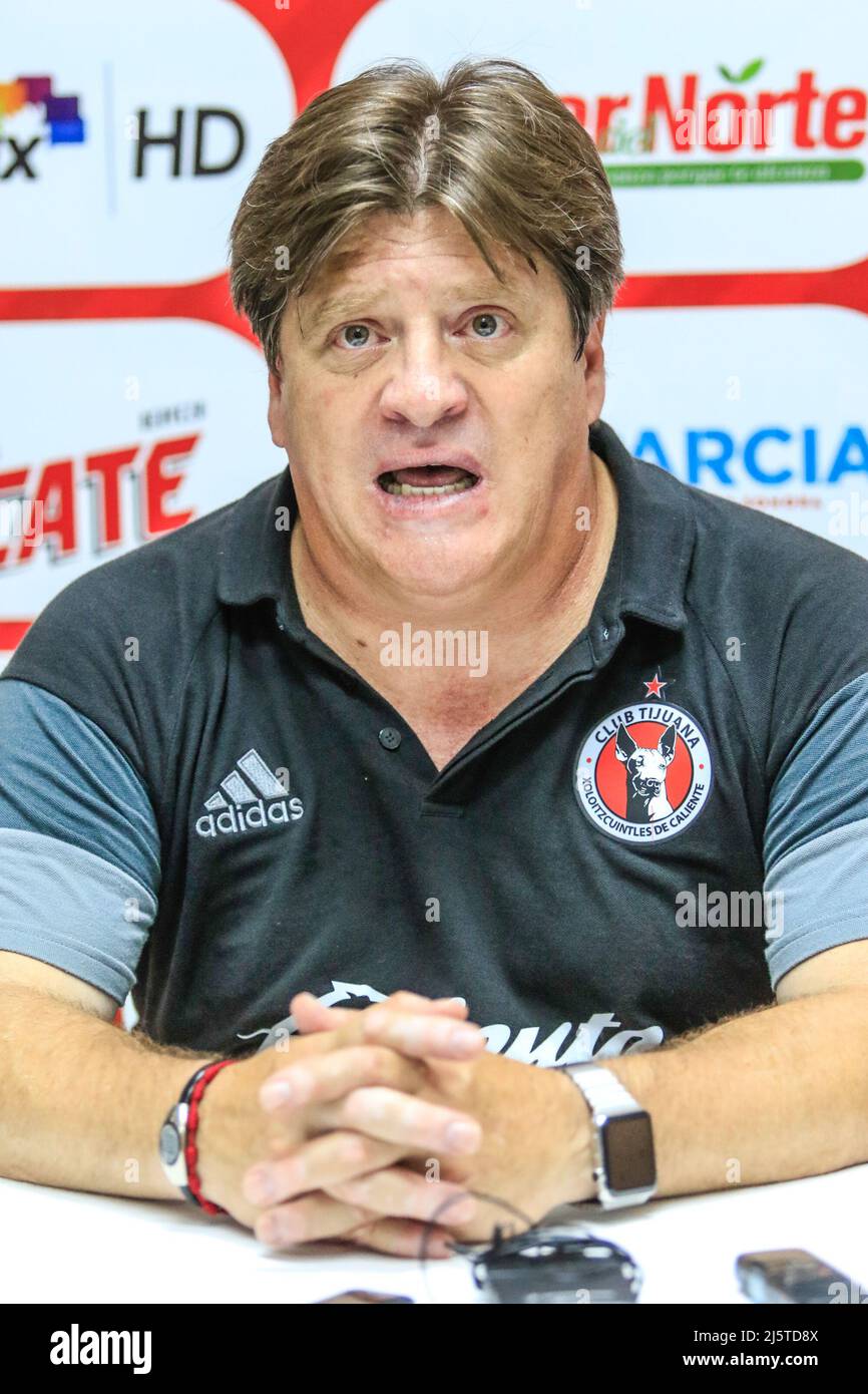 Estadio de tijuana hi-res stock photography and images - Alamy