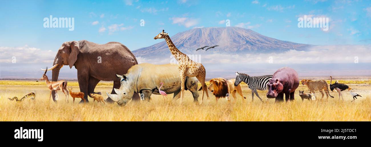 Zoo animals different together hi-res stock photography and images - Alamy