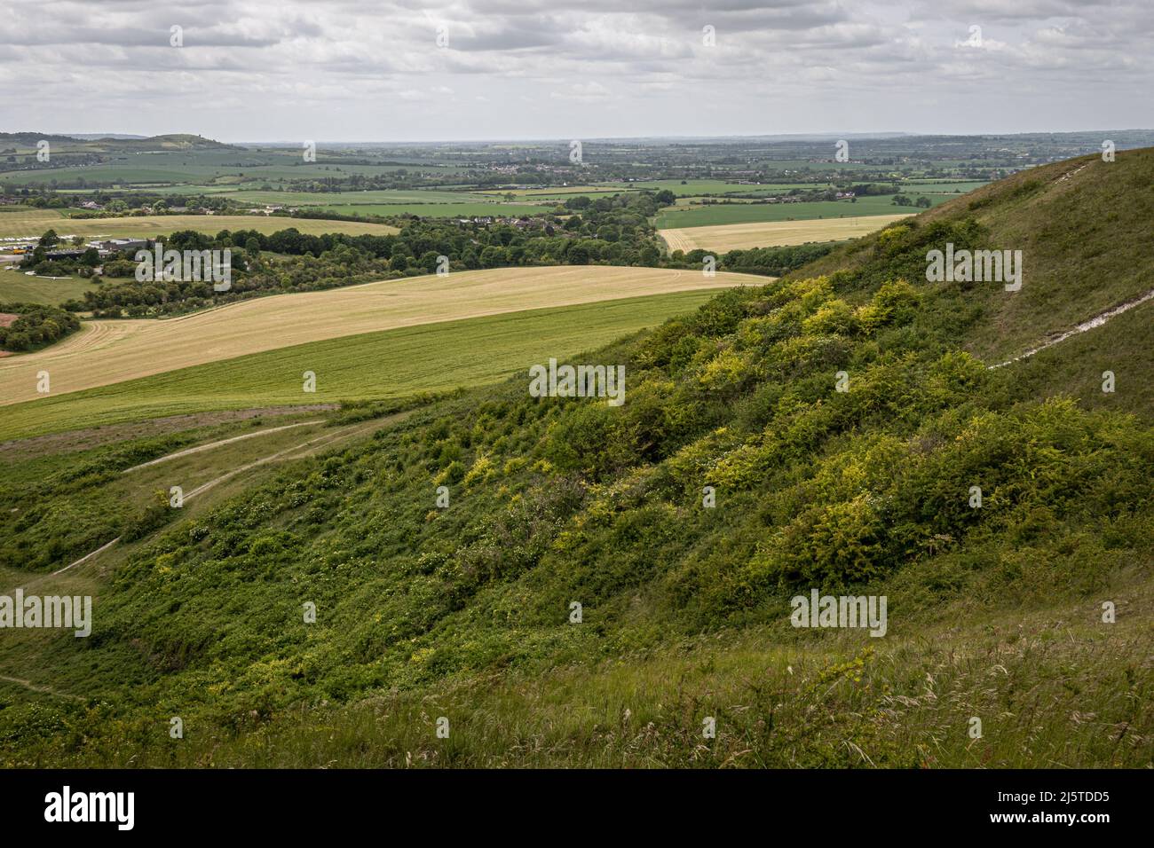 Views From Dunstable Downs, Bedfordshire, UK Stock Photo - Alamy