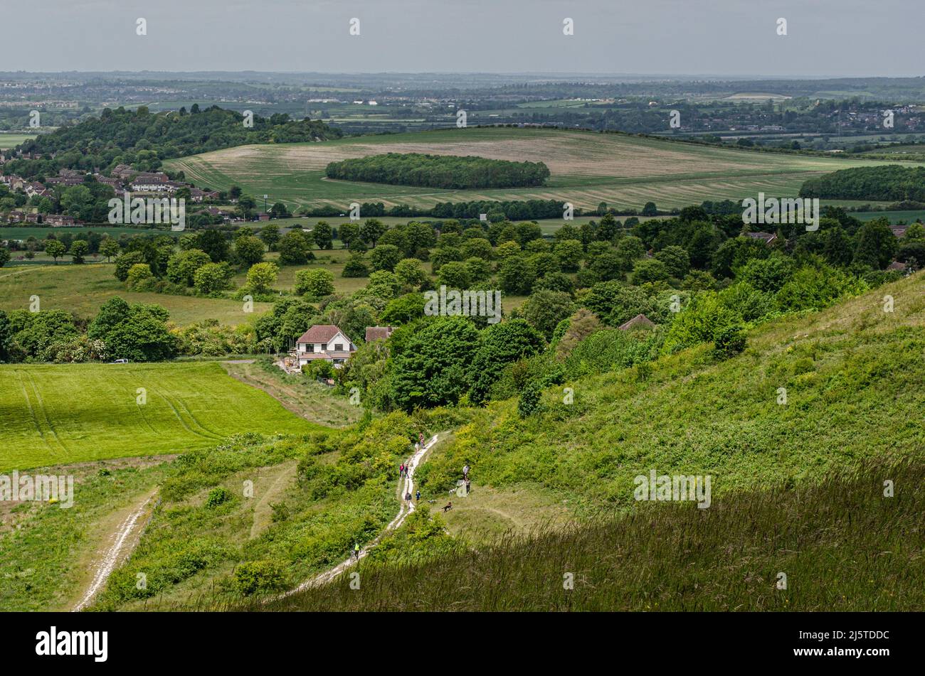 Views From Dunstable Downs, Bedfordshire, UK Stock Photo - Alamy