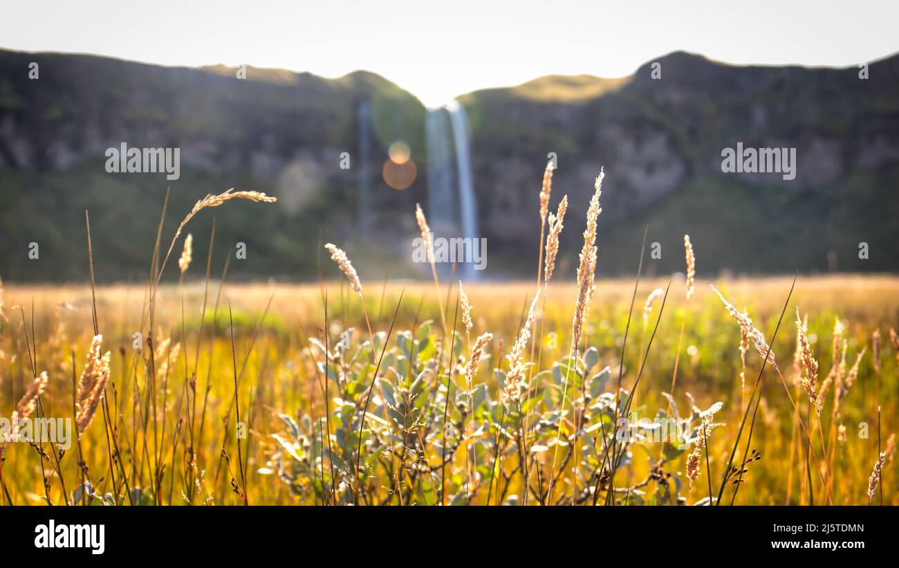 Glowing waterfall hi-res stock photography and images - Alamy