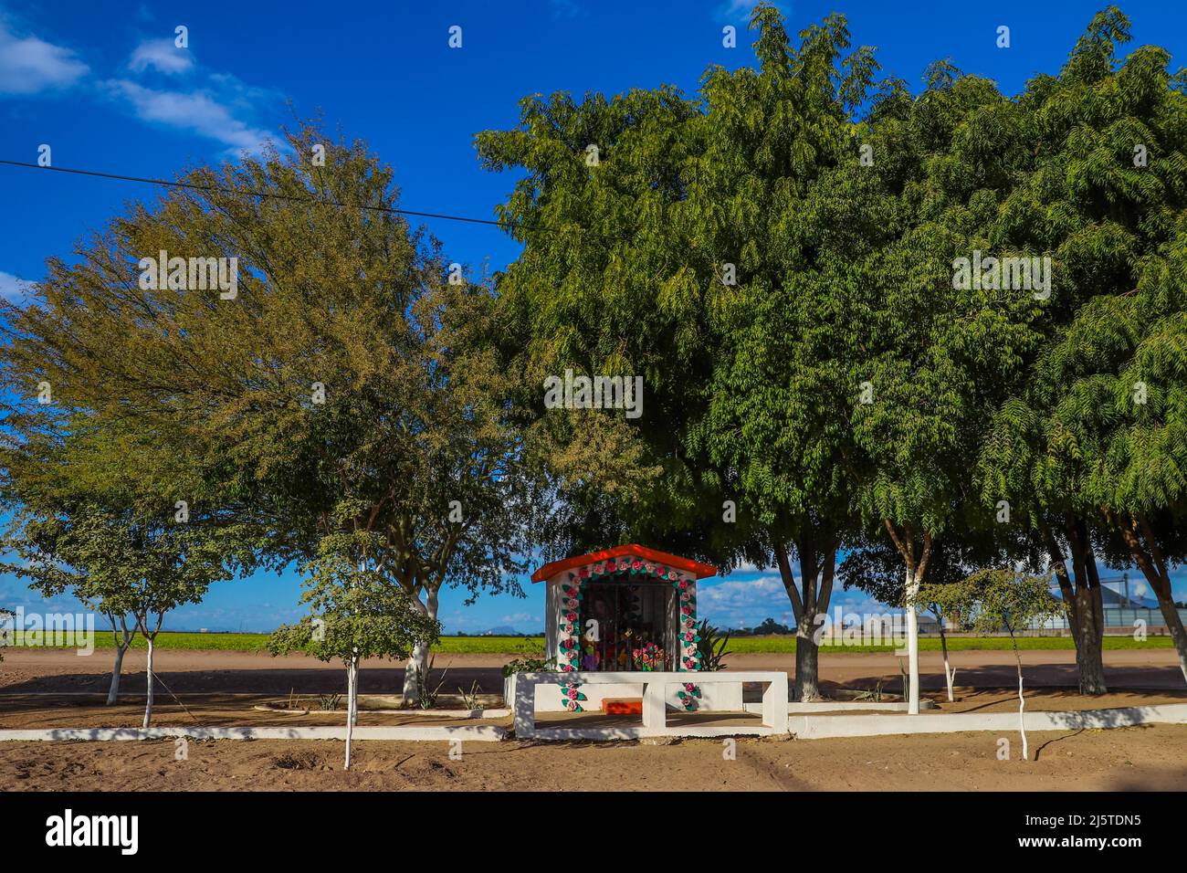 Altar next to plot and. trees, religion and culture. Marte R. Gómez or ...