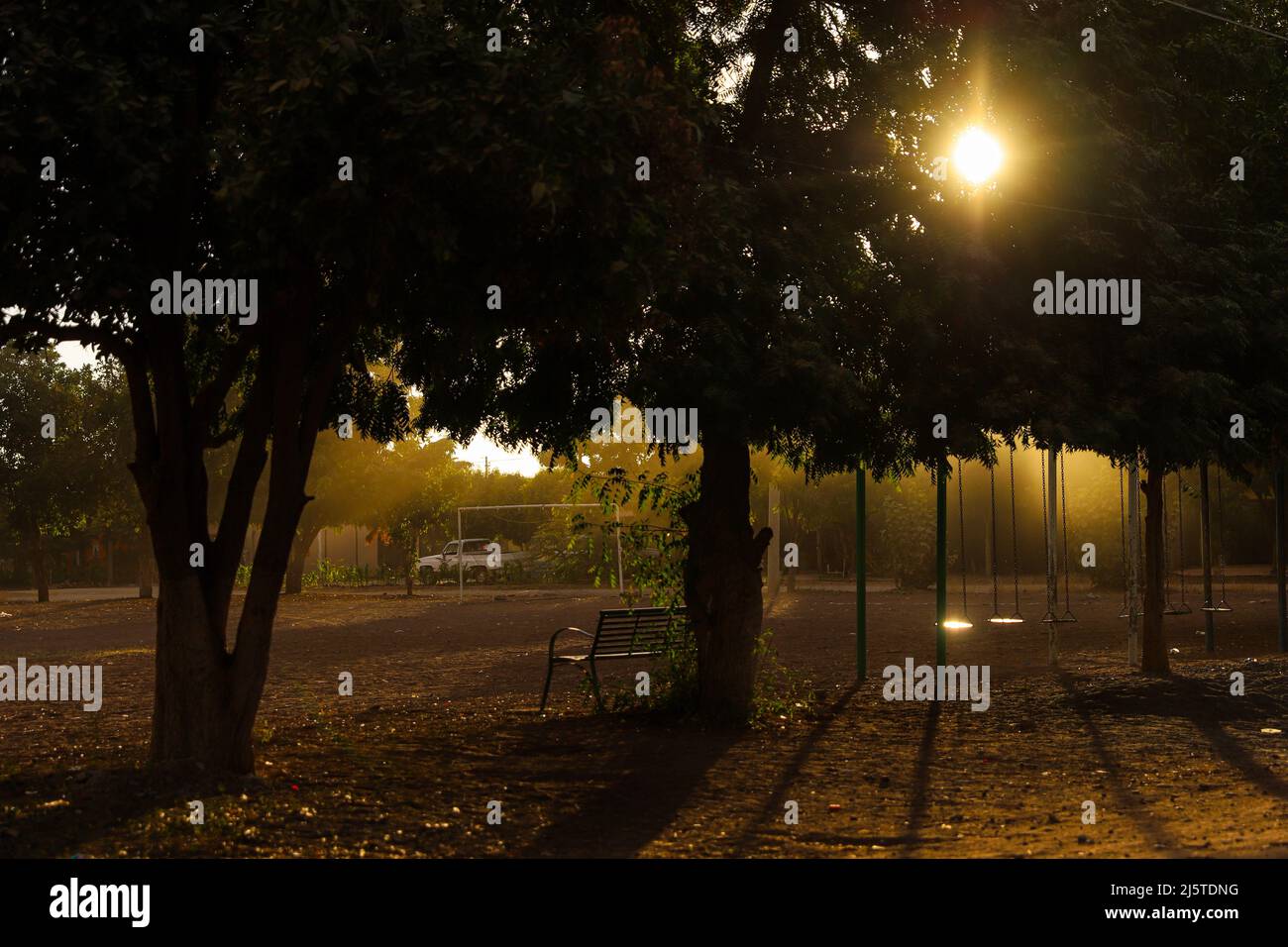 Sun rays at sunset in the field through the branches of the trees ...