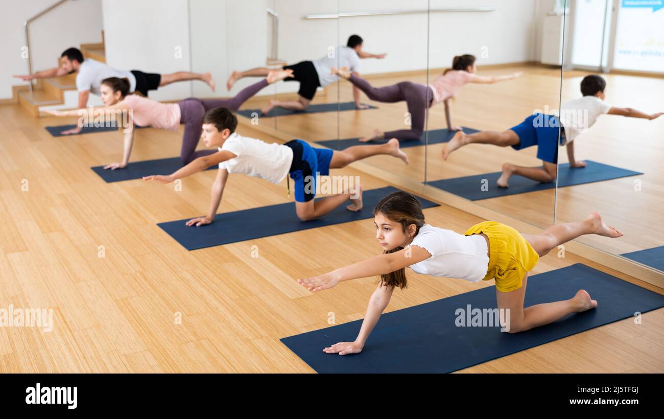 Kids and parents doing bird dog exercise in gym Stock Photo - Alamy