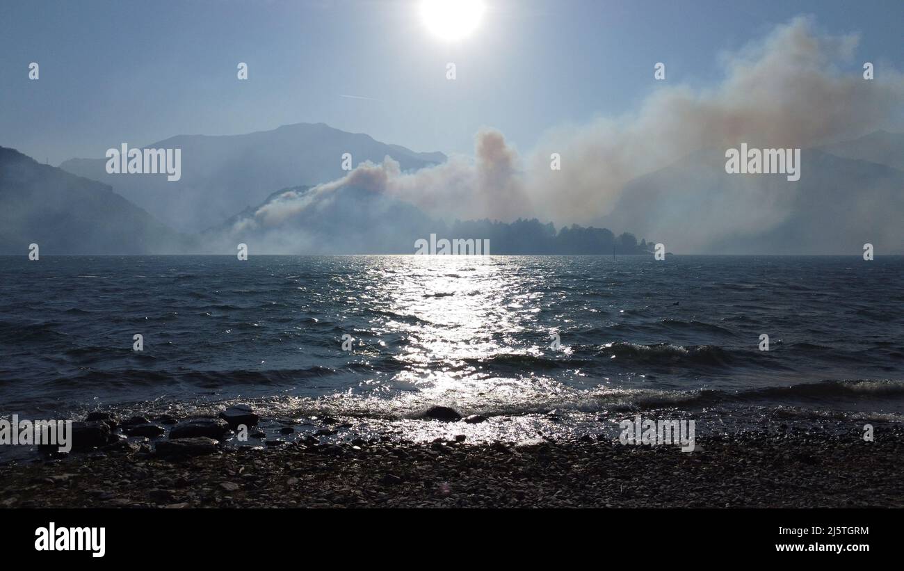 Piona hi-res stock photography and images - Alamy