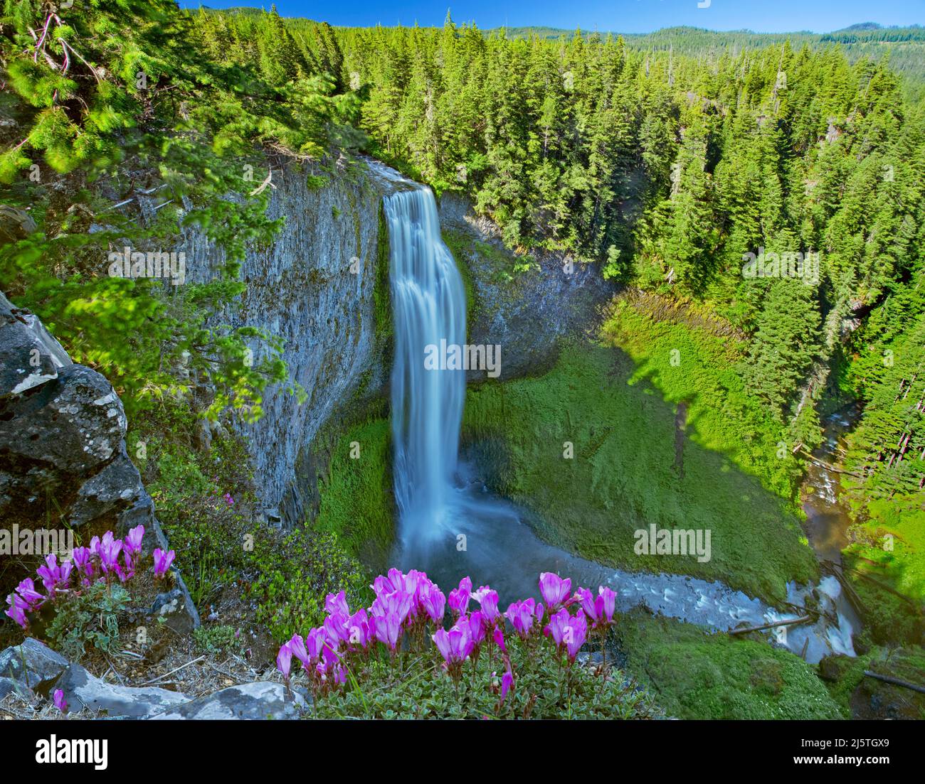 Salt creek falls hi-res stock photography and images - Alamy