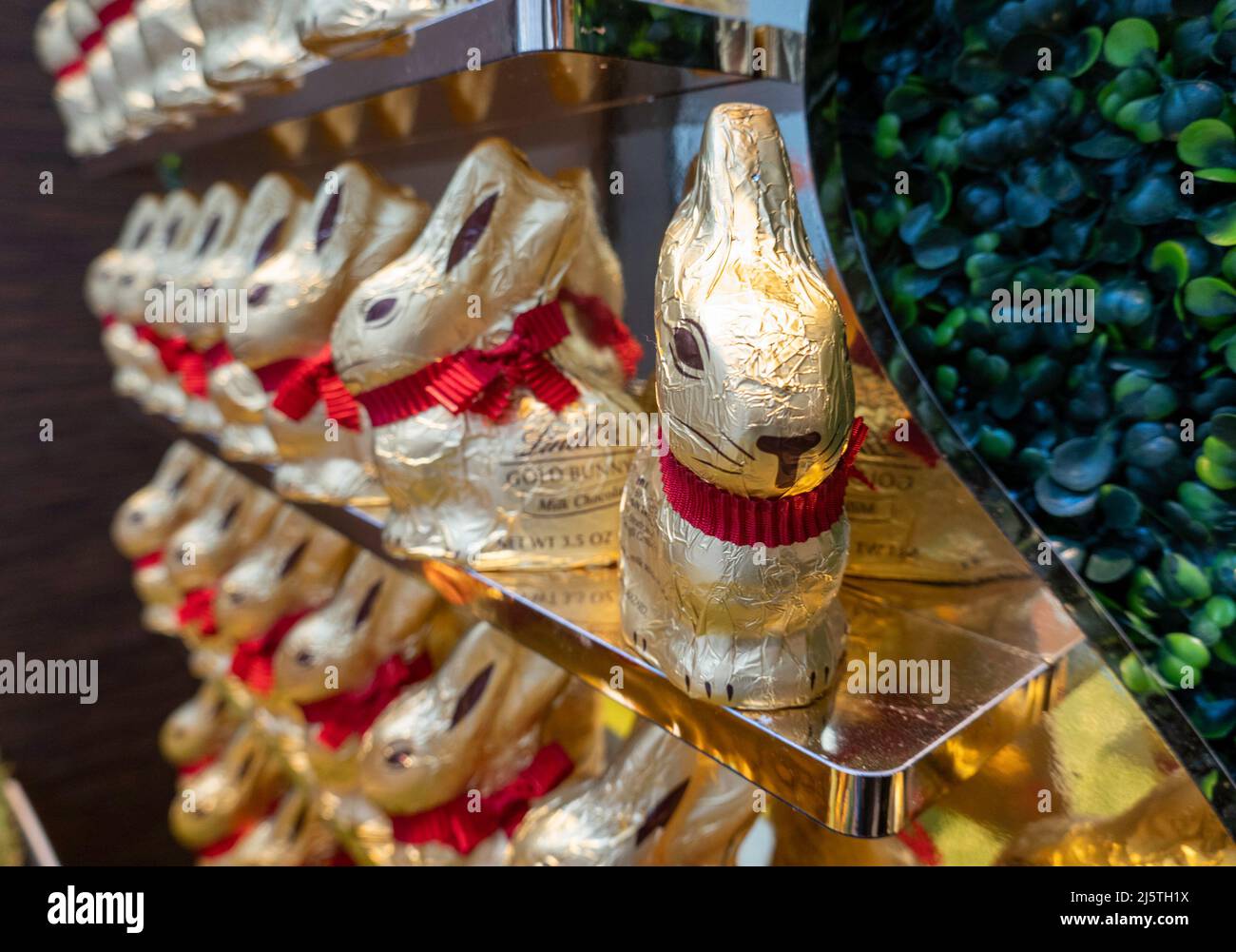 Lindt Chocolatier is a Swiss candy store located at 34th Street Herald ...