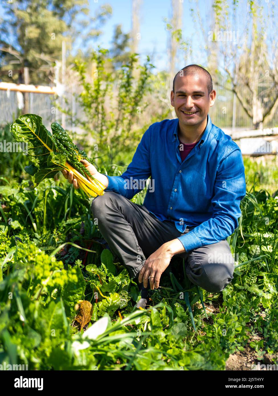 happy man picks up a vegetables from hid urban vegetable garden Stock ...