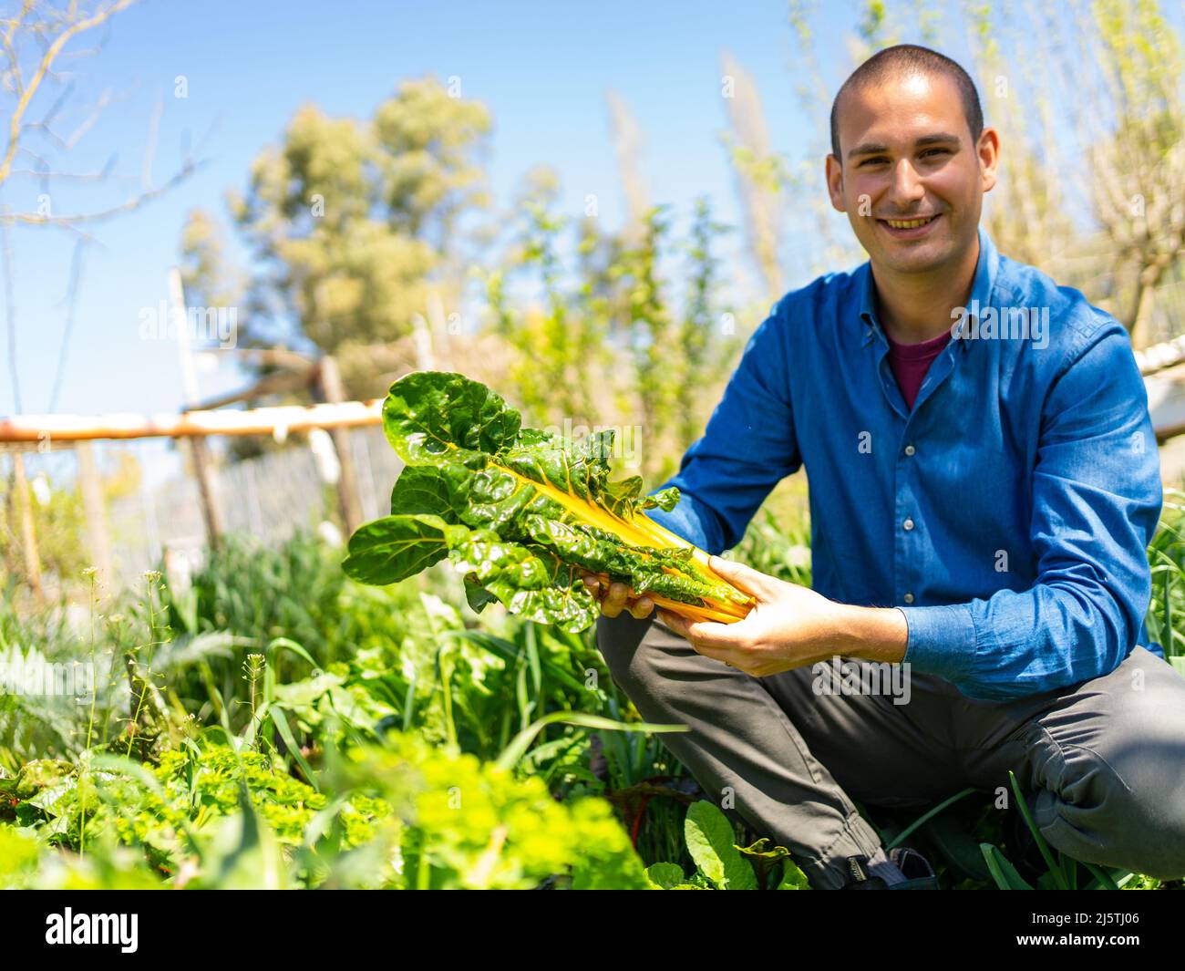 happy farmer hold a some vegetables in his vegetable garden in the city ...