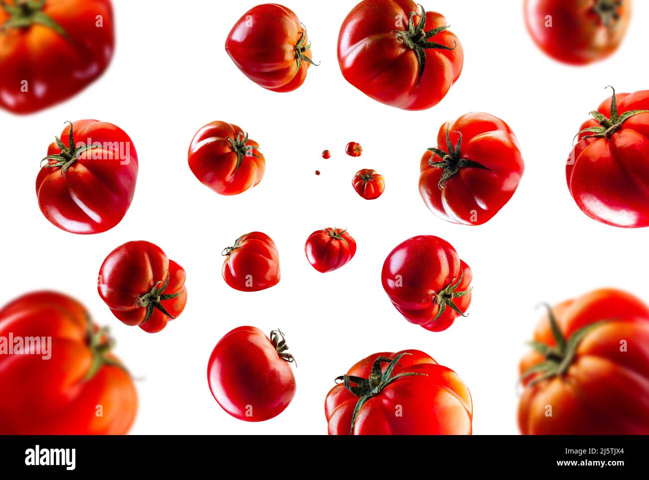 Collection of pachino tomato falling isolated on white background ...