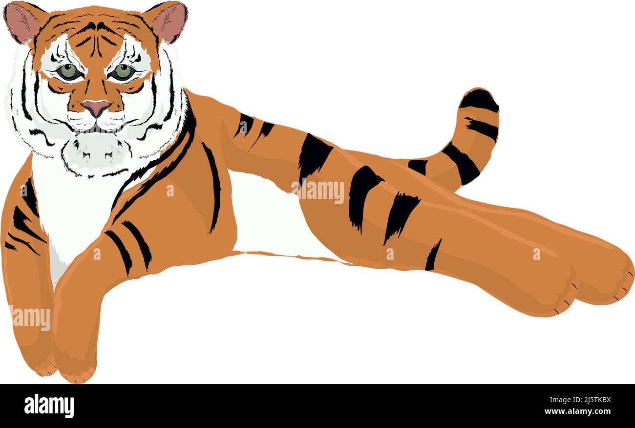 tiger animal cartoon Stock Vector Image & Art - Alamy