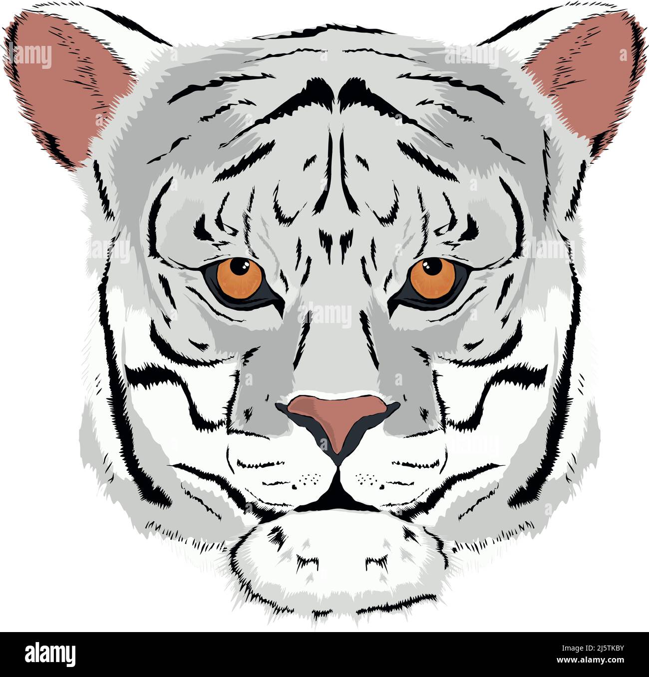 white tiger face Stock Vector Image & Art - Alamy