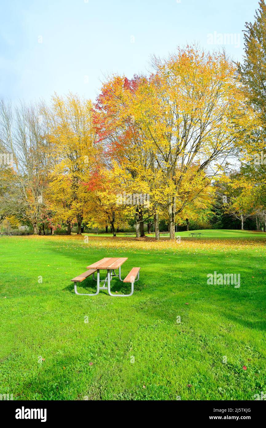 Sunny scenery and urban scenery hi-res stock photography and images - Alamy