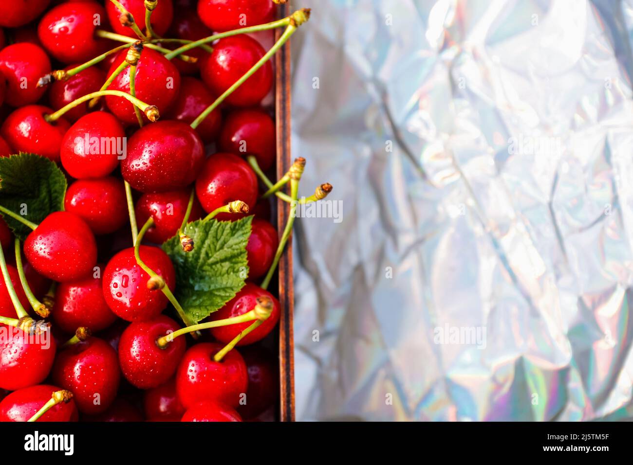 Defocus close-up cropped box, crape of dark red wet sweet cherries with ...