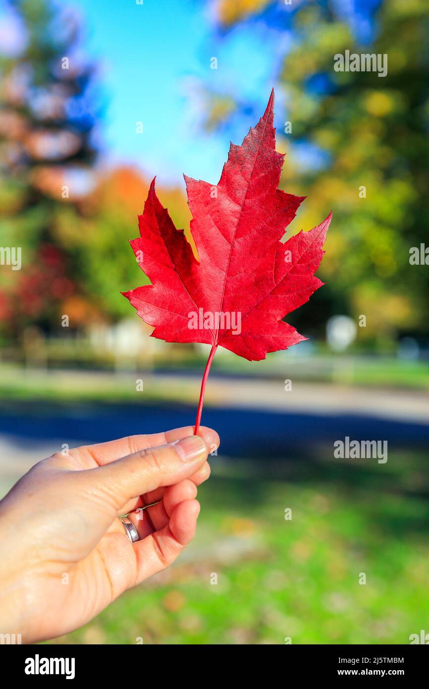 Abstract image female holding hi-res stock photography and images - Alamy