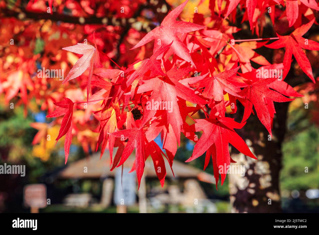 Color change process hi-res stock photography and images - Alamy