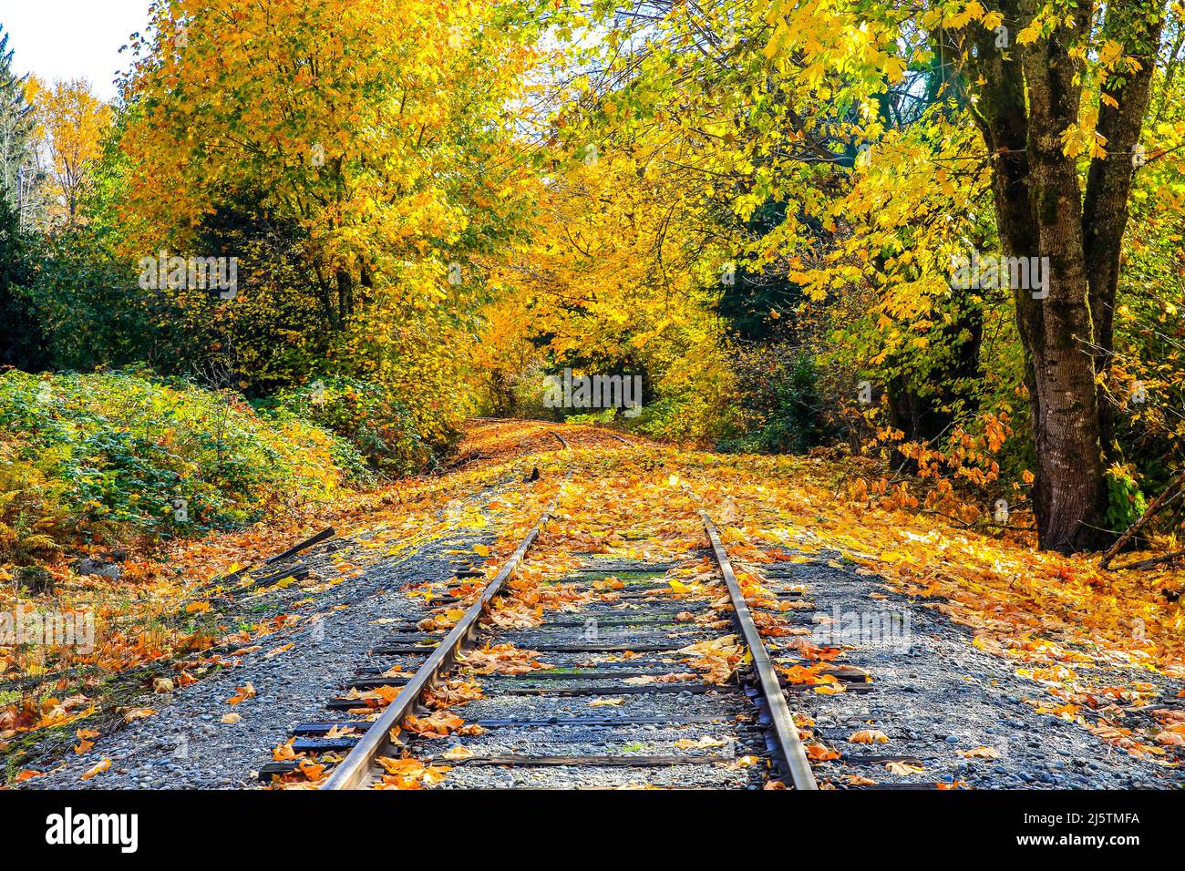 Autumn Leaves on Railroad Tracks Stock Photo - Alamy