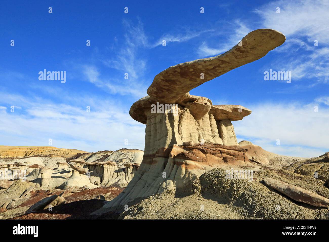 King of Wings - New Mexico Stock Photo - Alamy