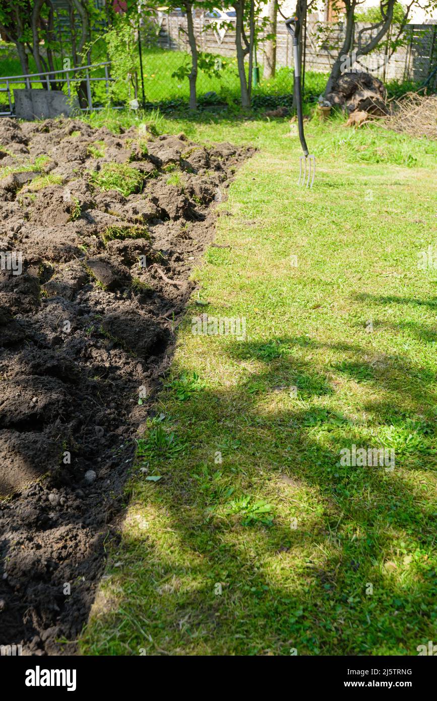Manual sod-turf removal in garden with a steel garden fork Stock Photo ...