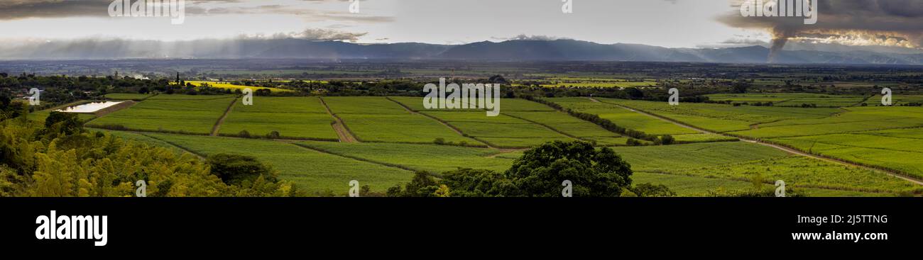 Sugar cane field and the majestic mountains at the Valle del Cauca ...