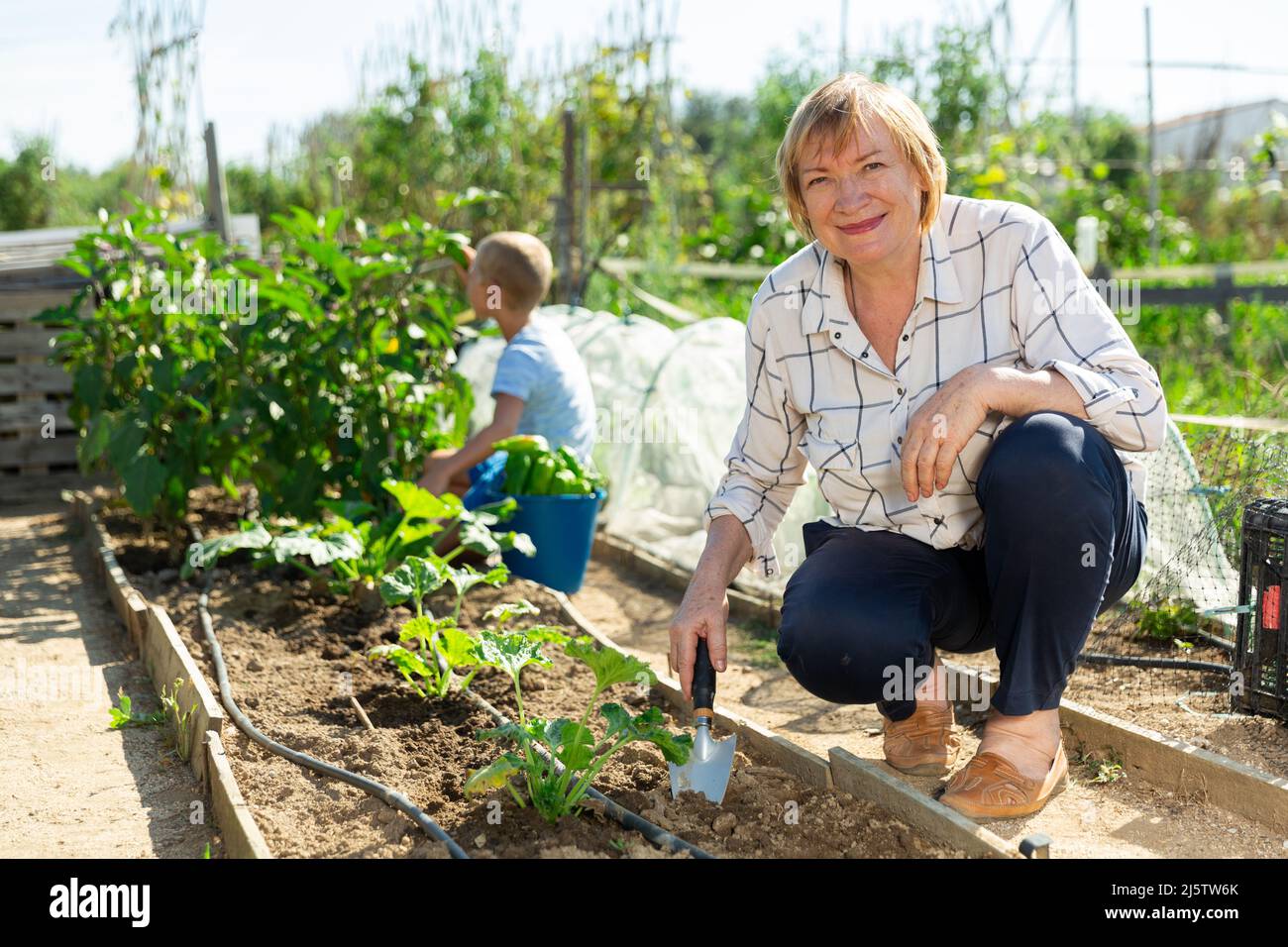 Grandma working in garden with boy Stock Photo - Alamy