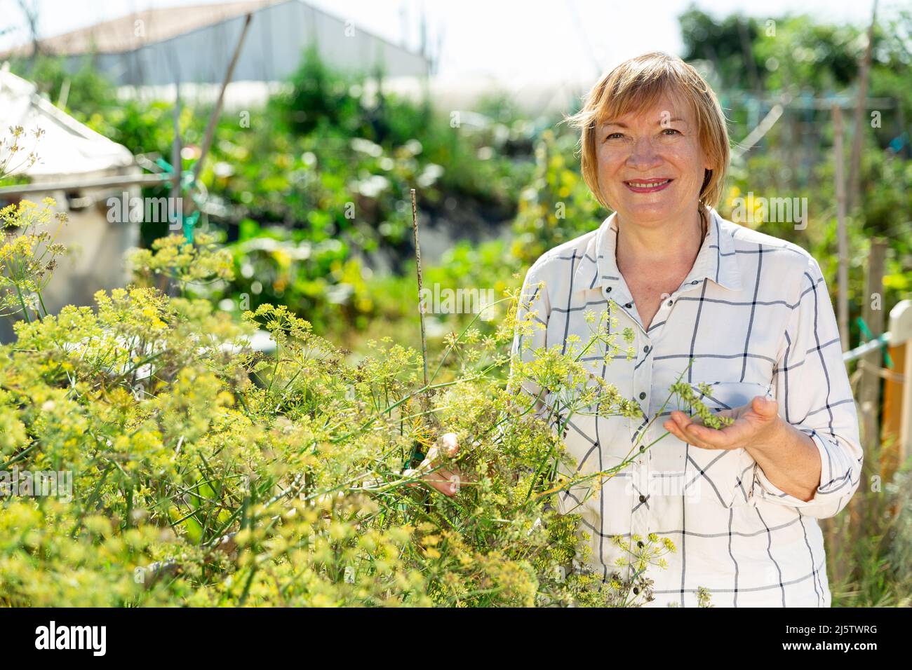 Gardener working in garden Stock Photo - Alamy