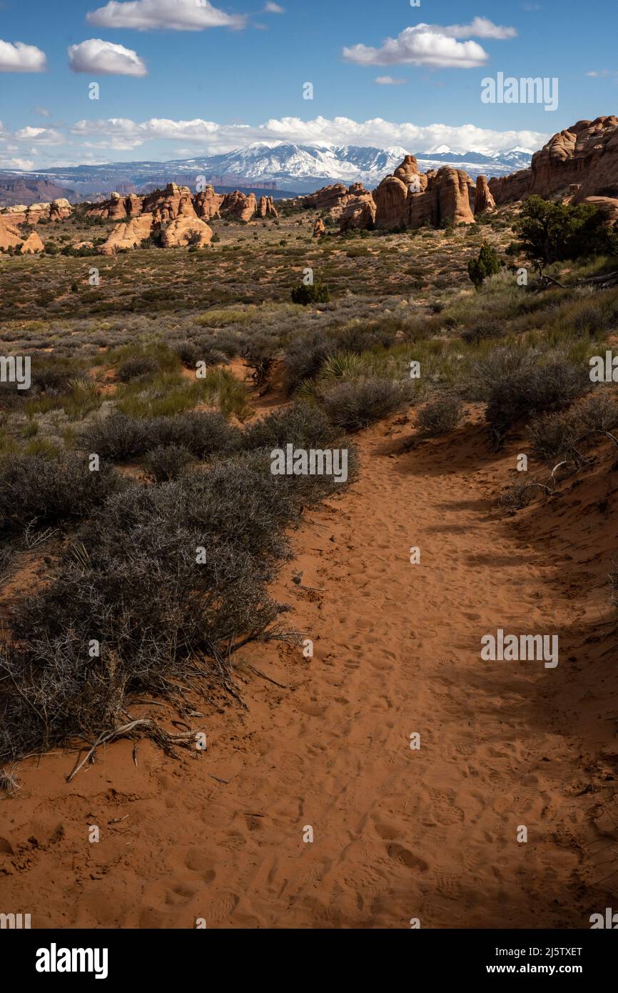 Sandy Trail Of Devils Garden Primitive Loop Looking Back at The La Sal ...