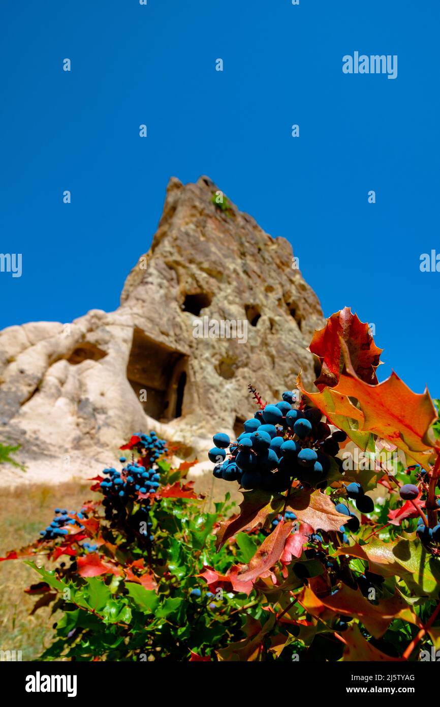 Travel to Cappadocia vertical background photo. A fairy chimney or ...