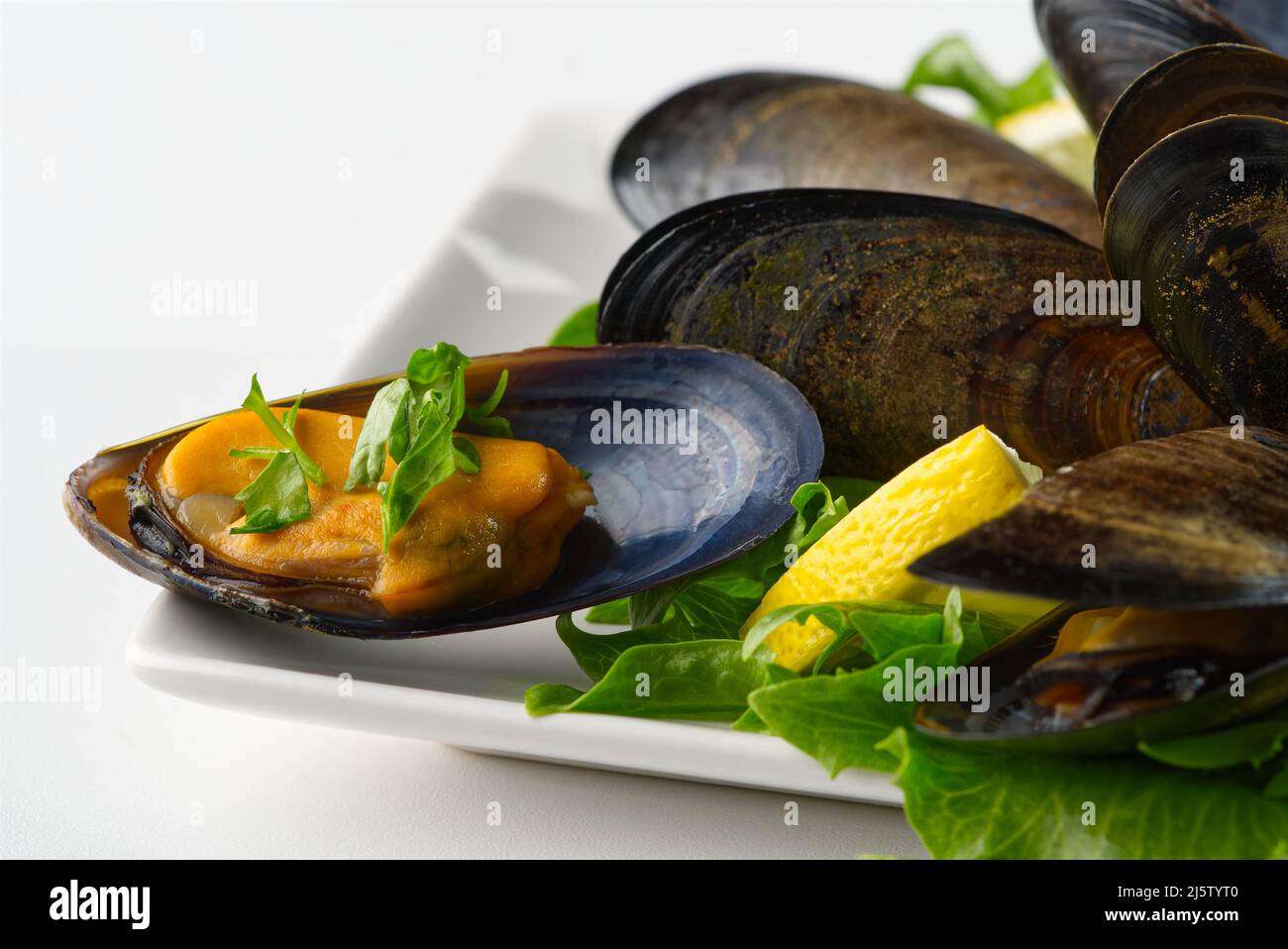 Shellfish dish. Seafood dishes. Mussels in sauce Stock Photo - Alamy