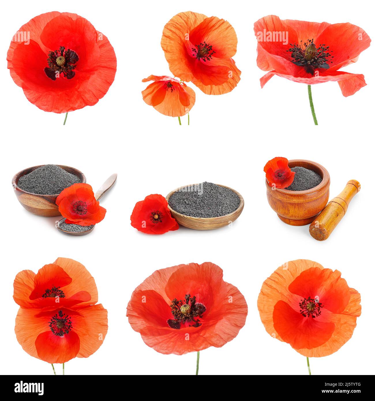 Red poppy seeds Cut Out Stock Images & Pictures - Alamy
