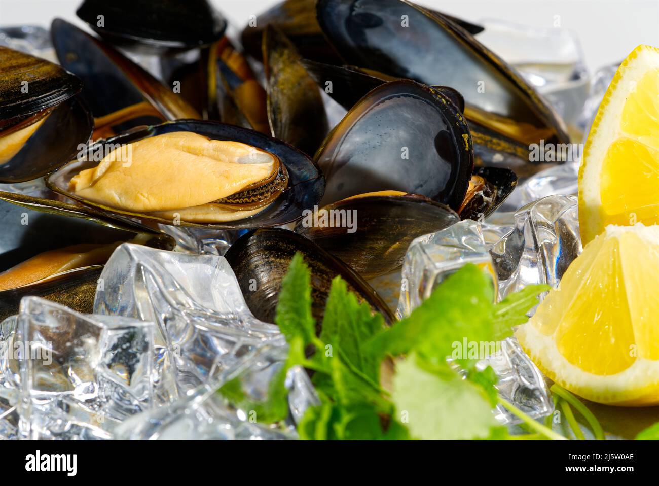 Shellfish dish. Seafood dishes. Mussels in sauce Stock Photo - Alamy