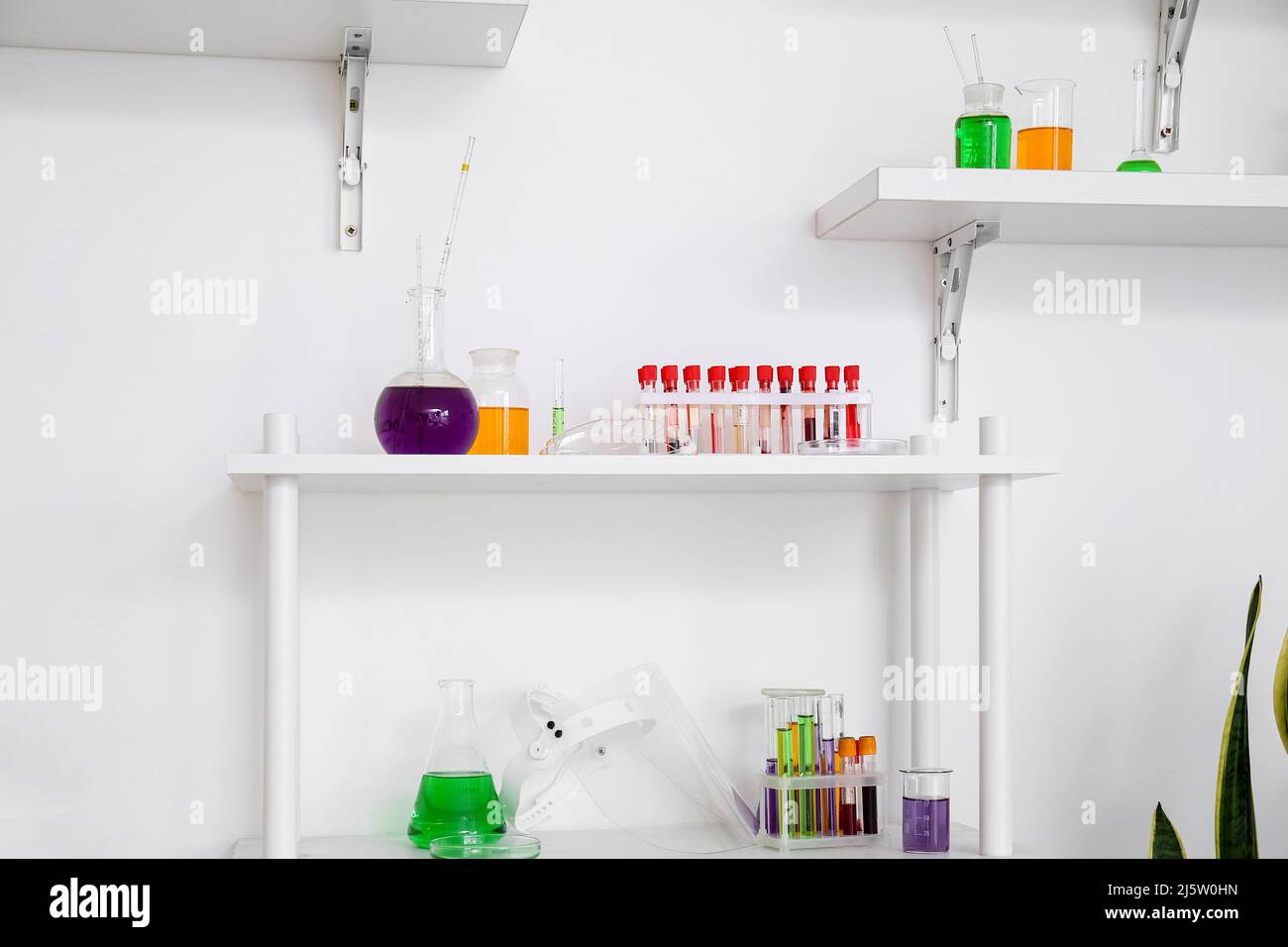 Shelves with chemical glassware near light wall in laboratory Stock ...