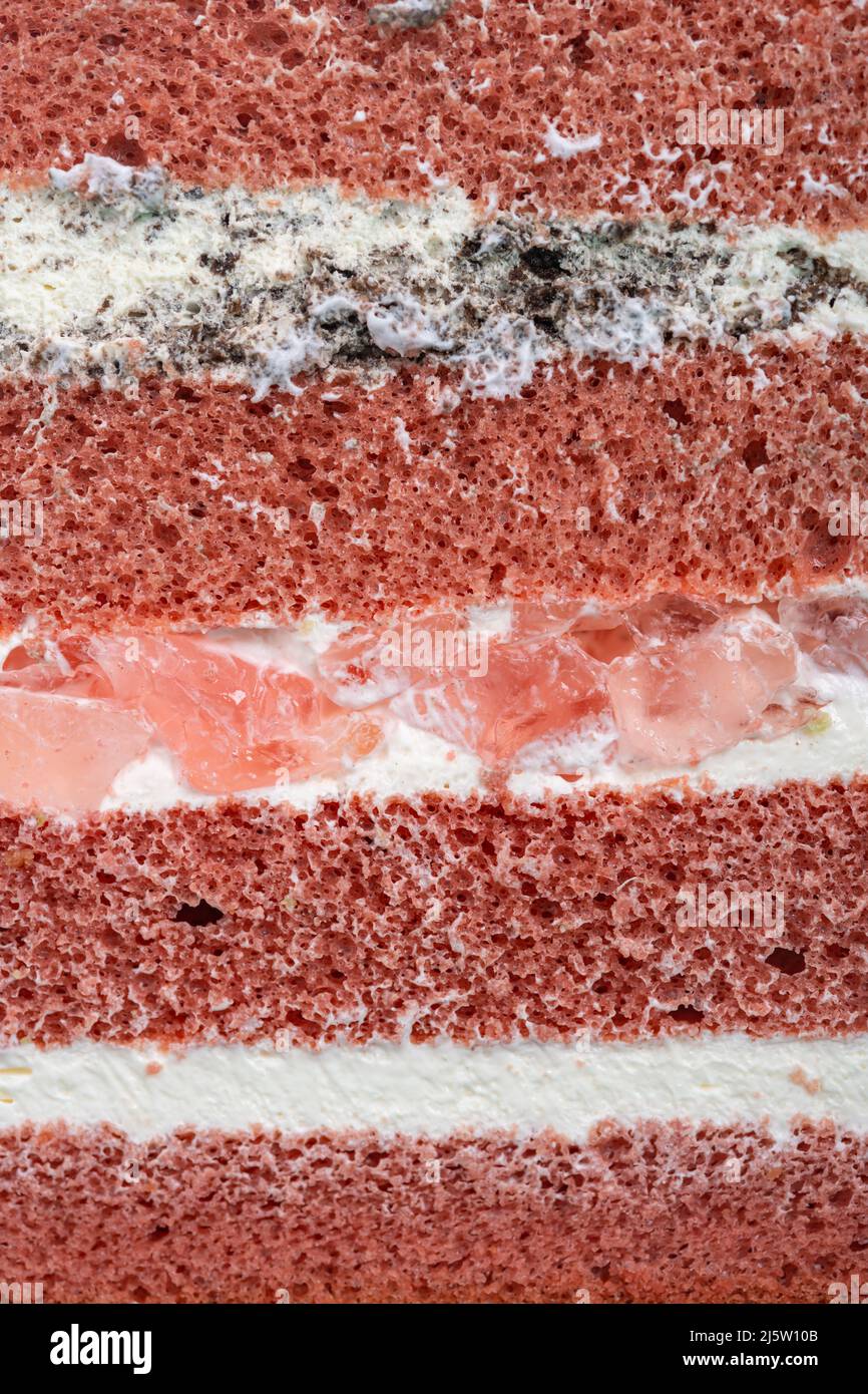 section of a multilayer cake as background and texture vertical ...