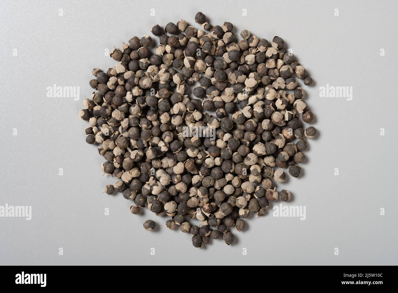 Sinplelaef shrub chastetree fruit hi-res stock photography and images ...