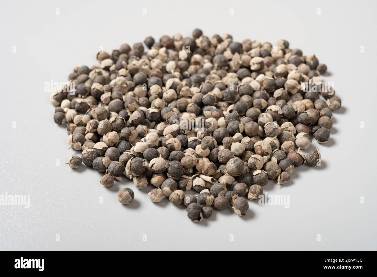 Sinplelaef shrub chastetree fruit hi-res stock photography and images ...