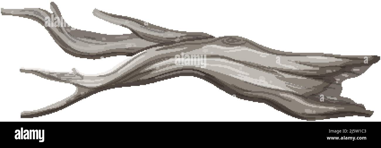 old tree branch on white background illustration Stock Vector Image ...