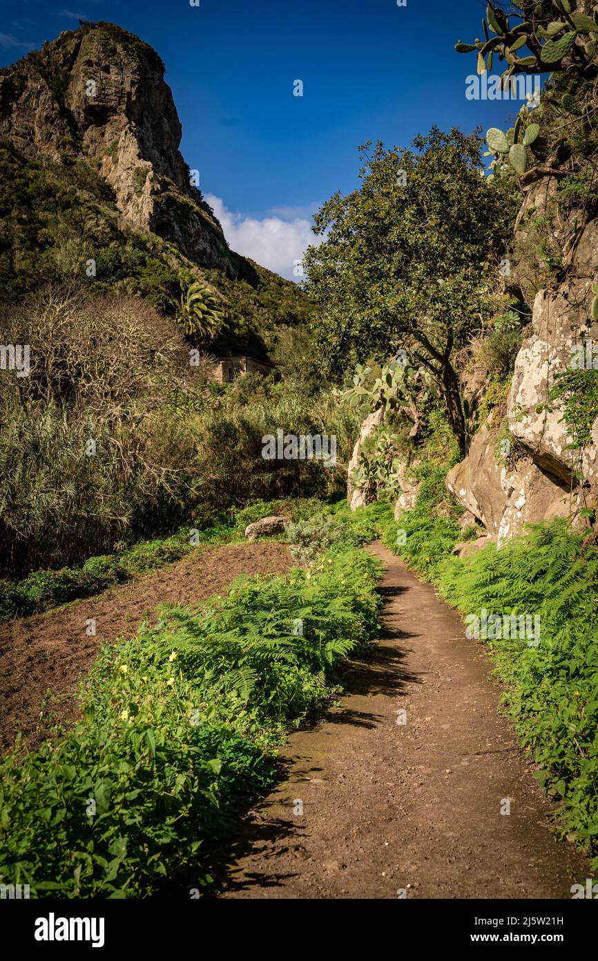 The Anaga National Park at the Island Tenerife Stock Photo - Alamy