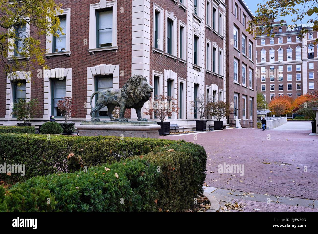 Lion sculpture on the campus of Columbia University in New York Stock ...