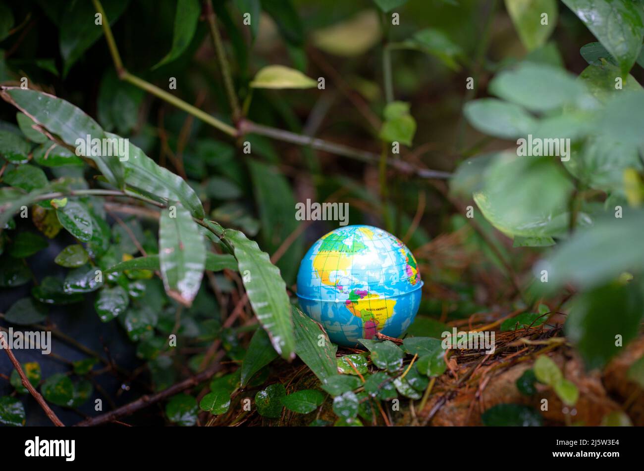 World nature conservation day hi-res stock photography and images - Alamy