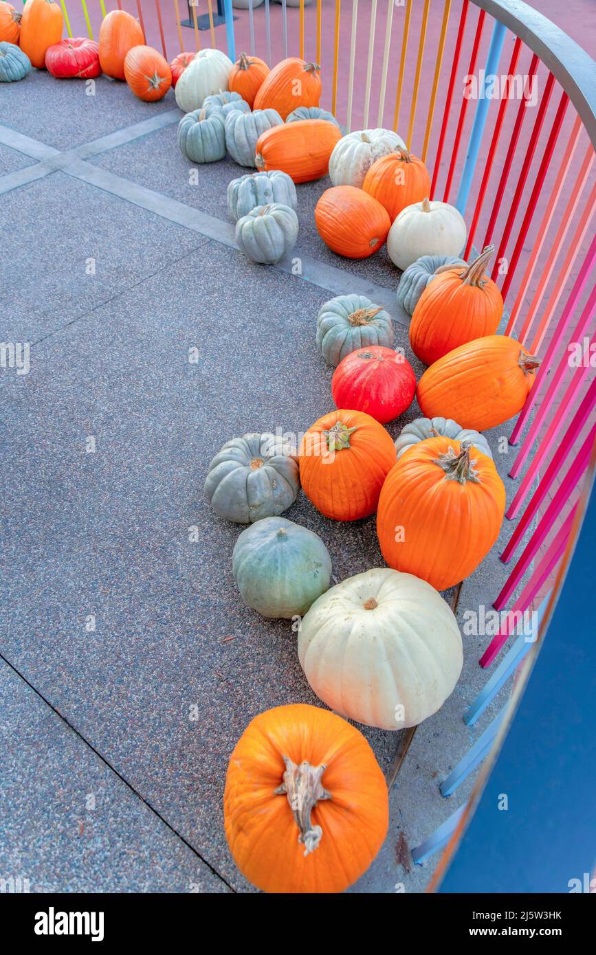 Variety of pumpkins with different sizes and colors on a concrete floor ...