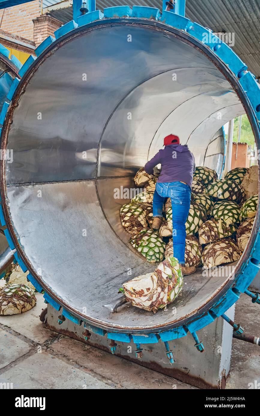 Man piling agave in oven ready to steam it Stock Photo - Alamy