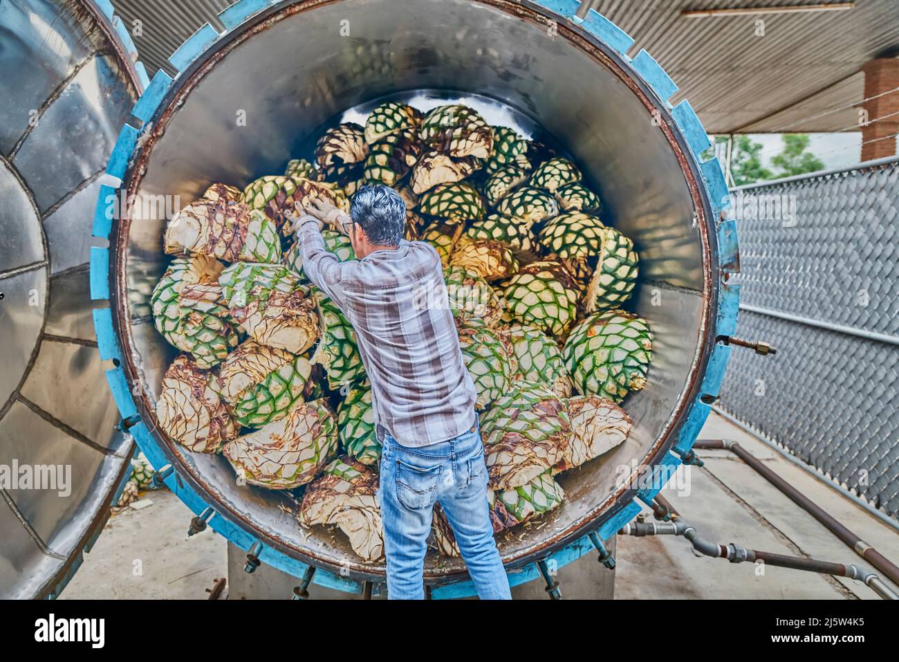 Man piling agave in oven ready to steam it Stock Photo - Alamy