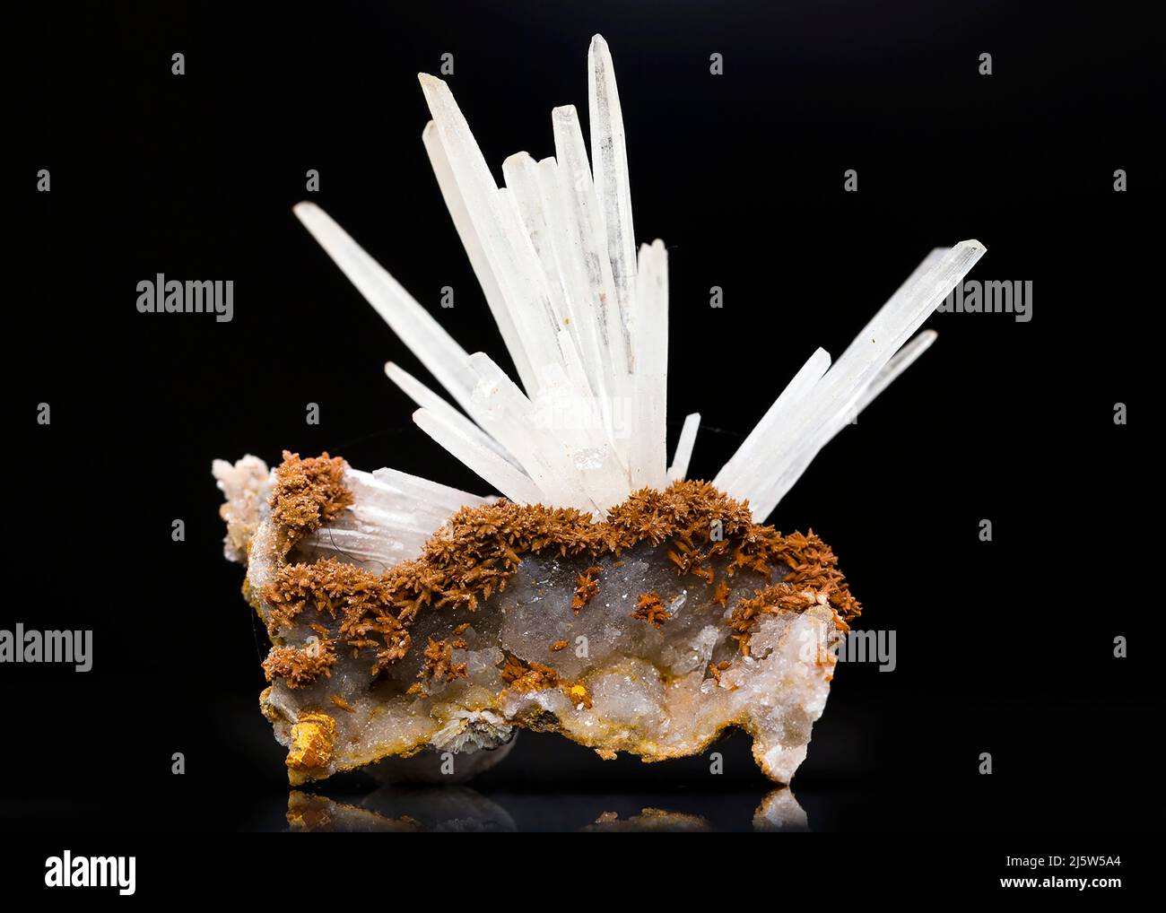Aragonite crystal hi-res stock photography and images - Alamy