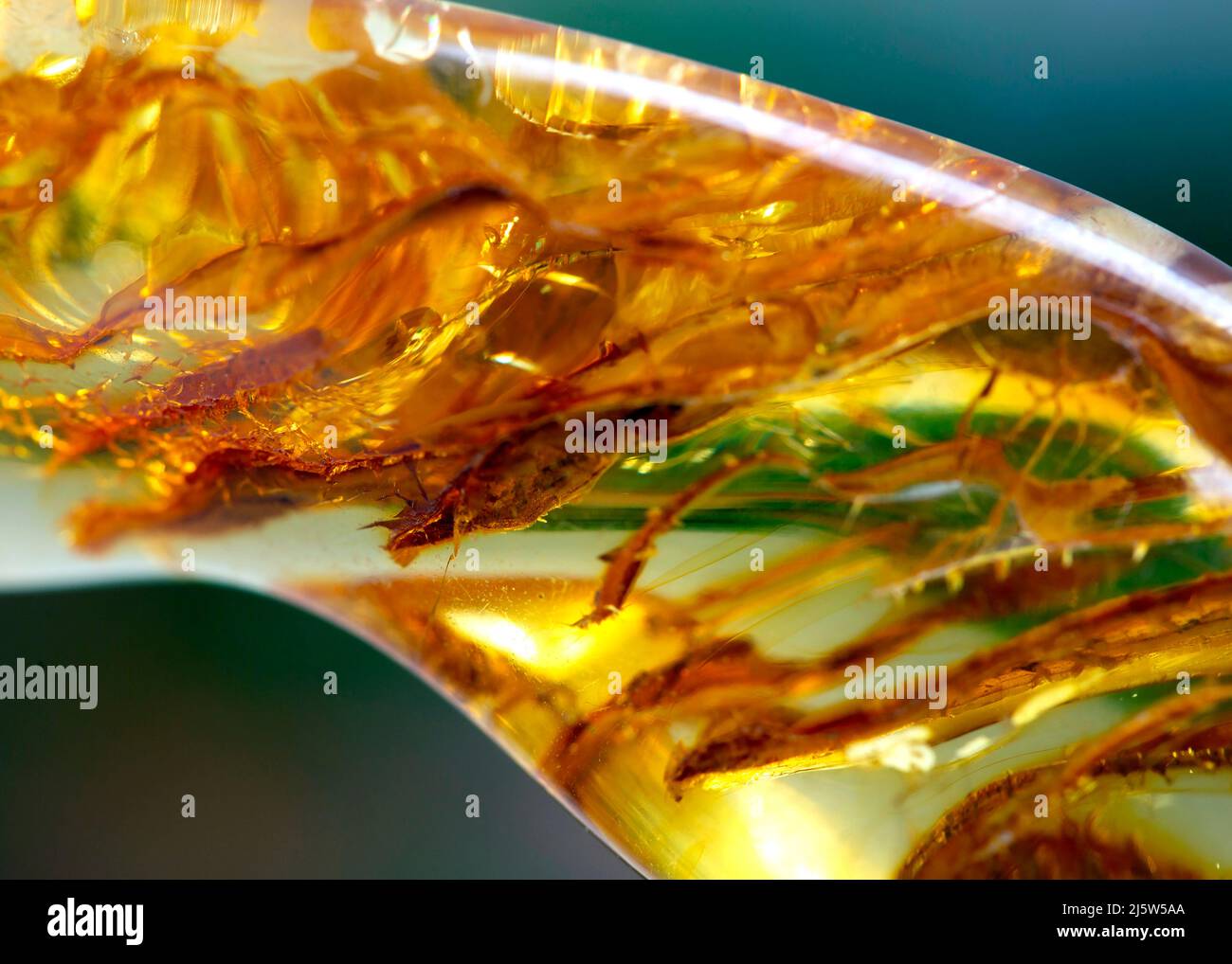 amber, mineral specimen stone rock geology gem crystal Stock Photo - Alamy