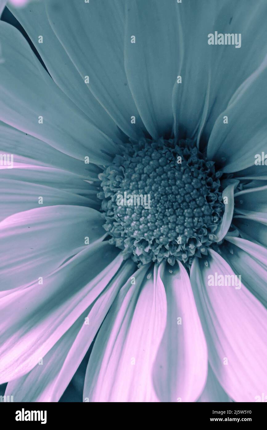 Smidge hi-res stock photography and images - Alamy