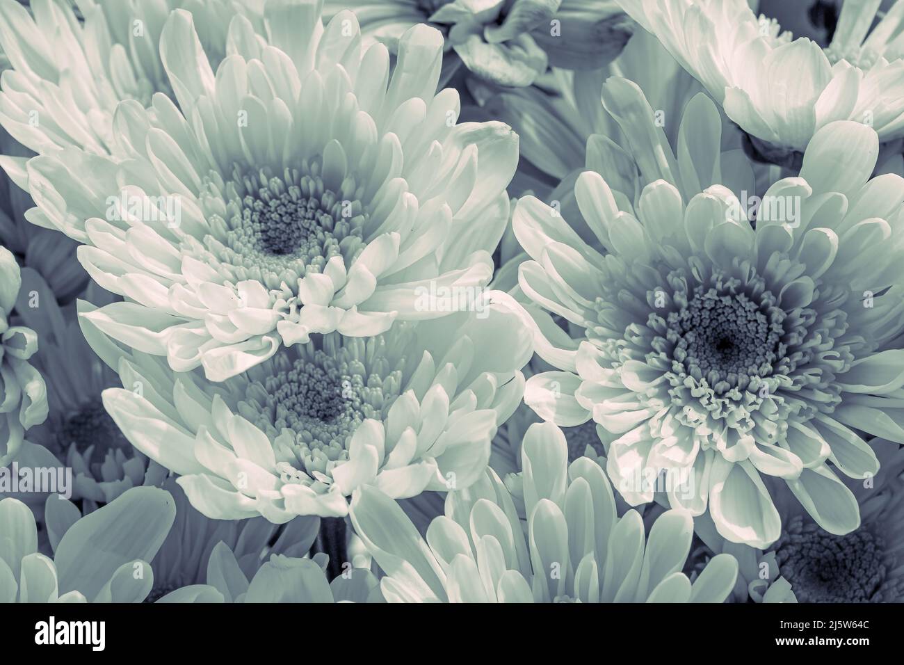 Smidge hi-res stock photography and images - Alamy